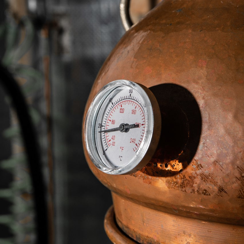 Gin Distillery Tour & Tasting Experience– Colonsay Gin